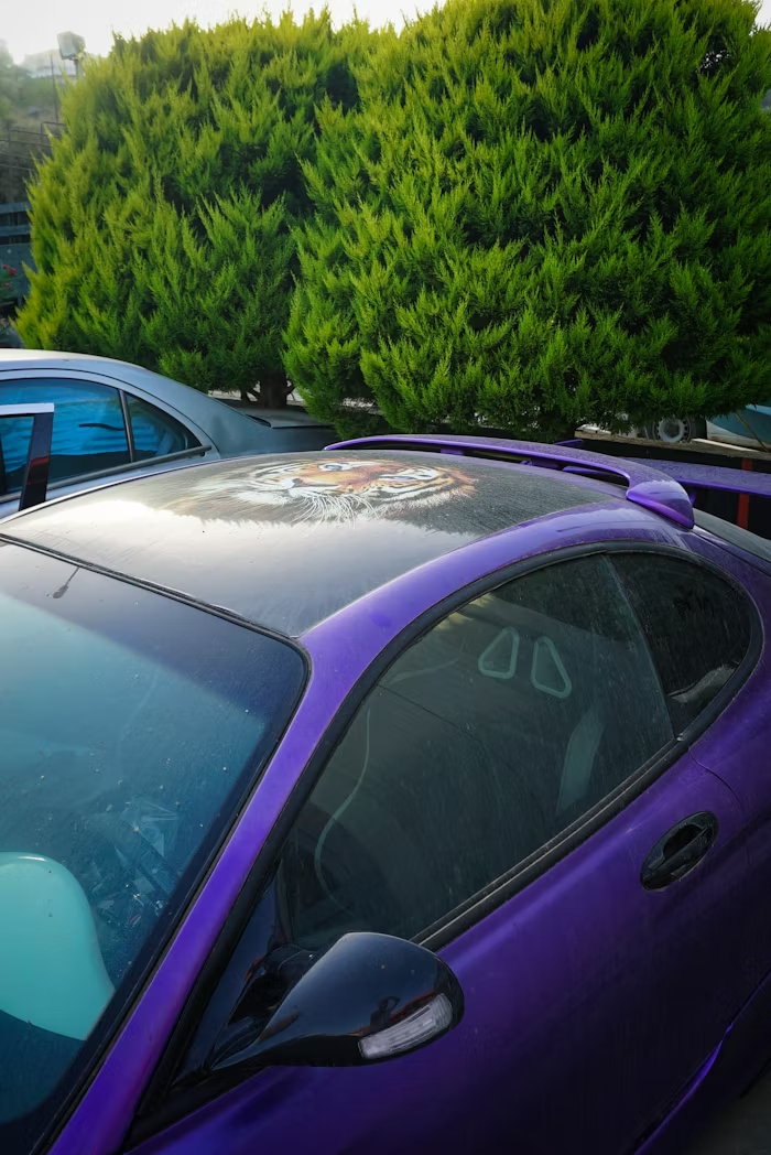 Boost Your Home and Office Security with TERMINAX Security window tint ...